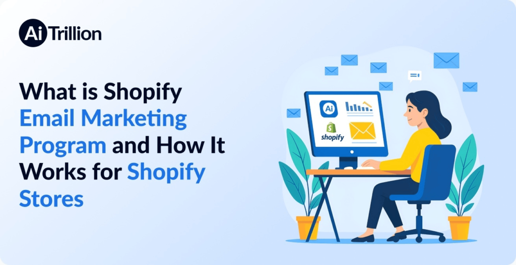 Shopify Email Marketing Program: How It Works
